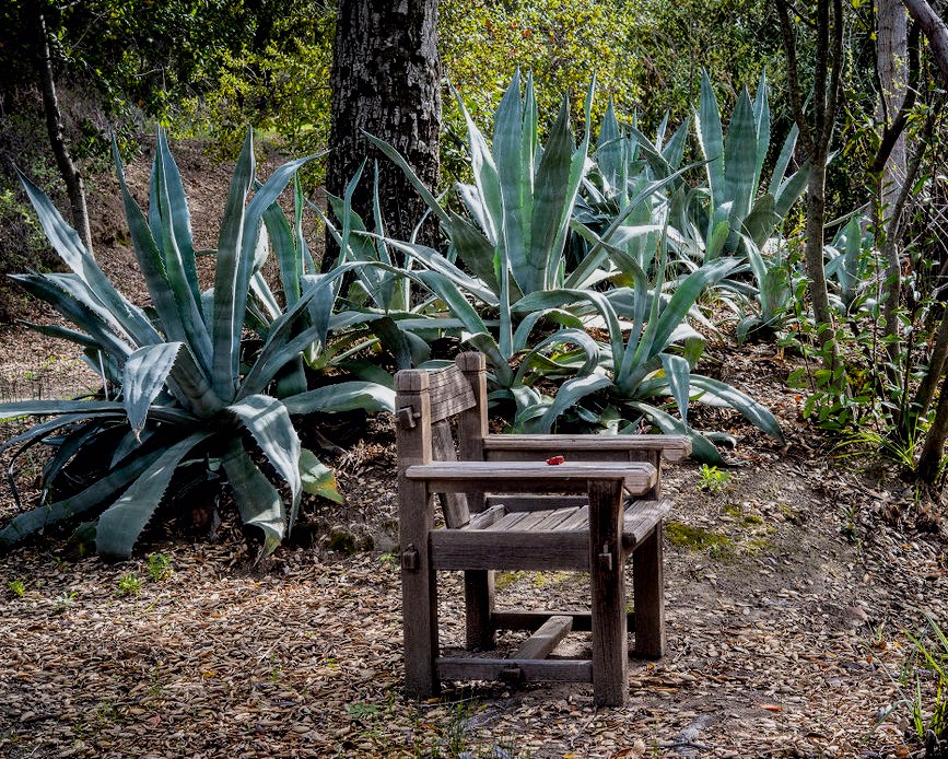 Trails & Nature | Dorland Mountain Arts