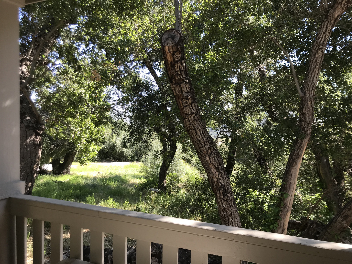 Roripaugh Cottage | Dorland Mountain Arts